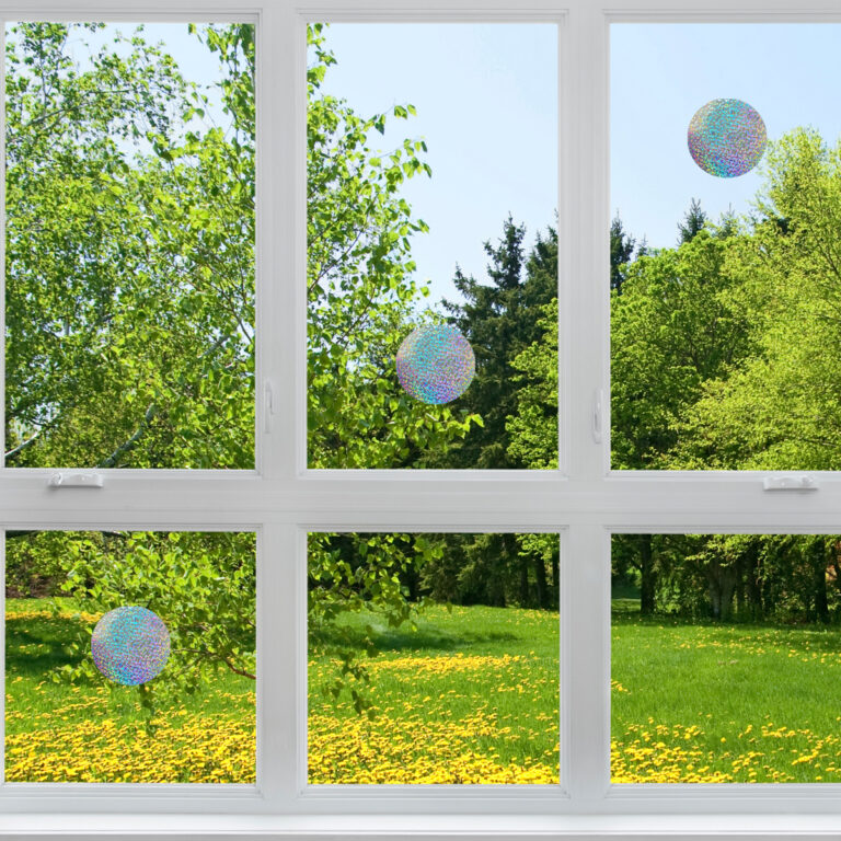 Window Bird Deterrent Circle - EACILLES