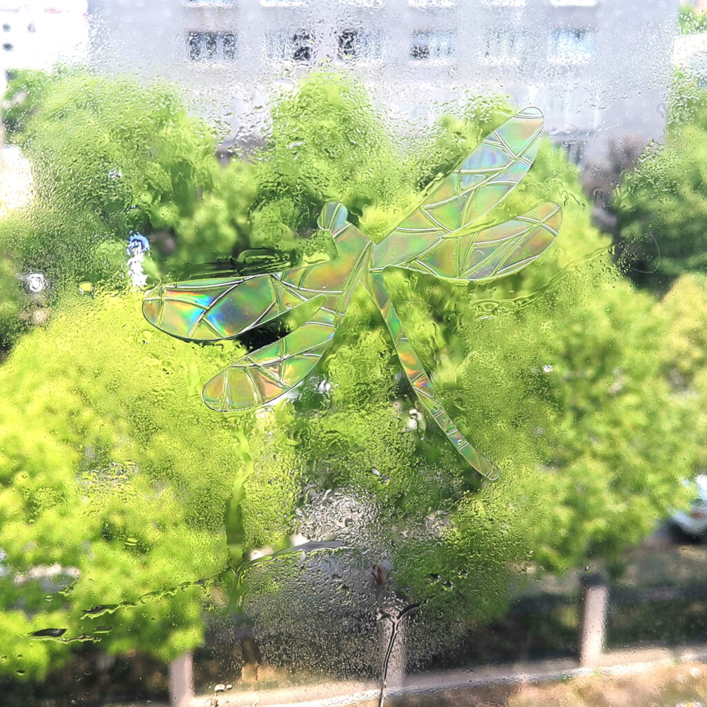Dragonfly Anti Bird Strike Window Cling - EACILLES