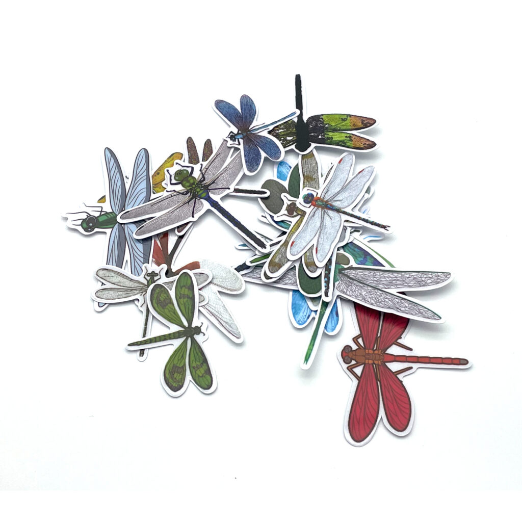 Small Dragonfly Window Cling - EACILLES